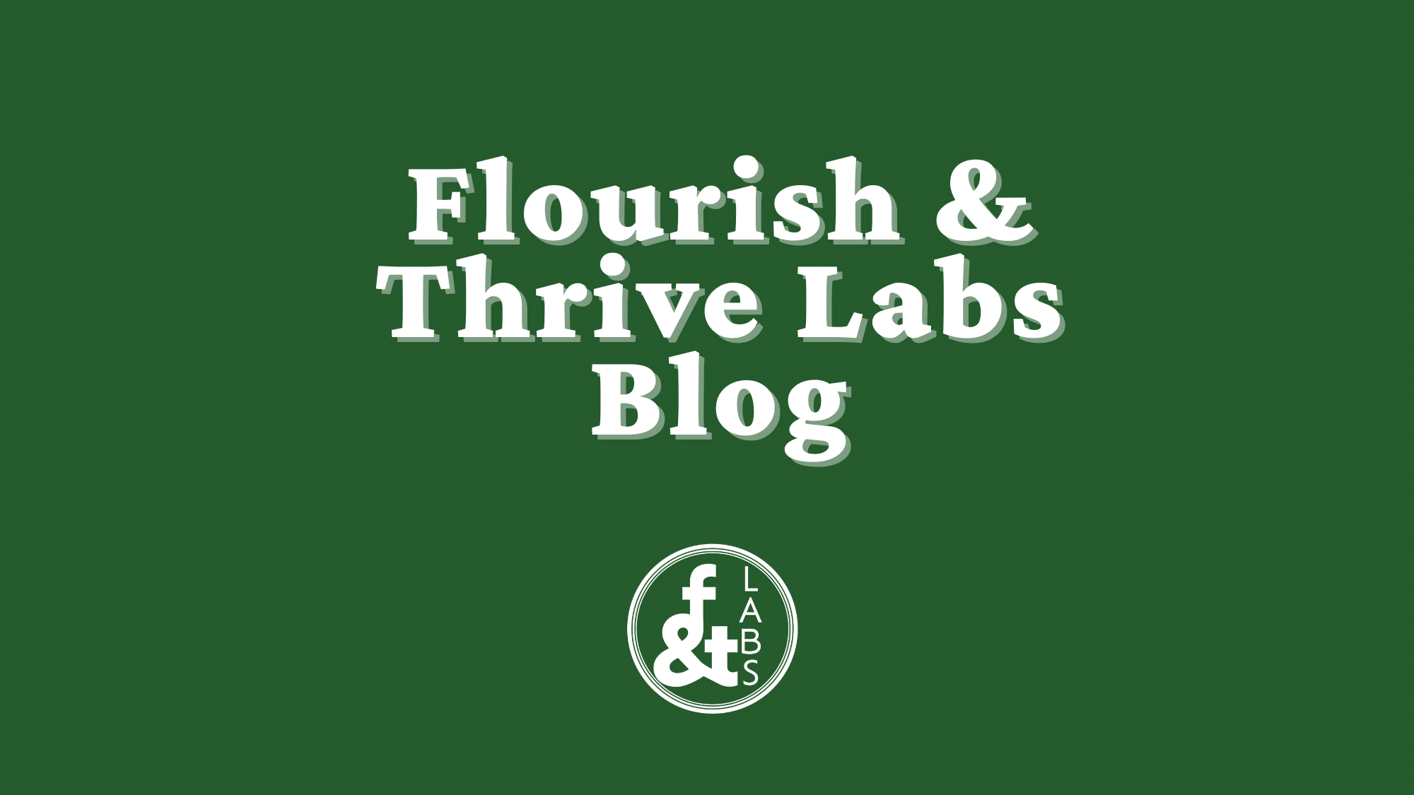 Blog | F&T Labs